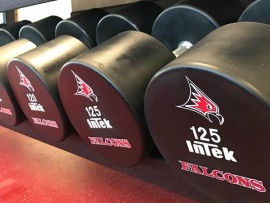 Intek Armor Series Dumbbell Set 5-50lb with Rack - Adamant Barbell